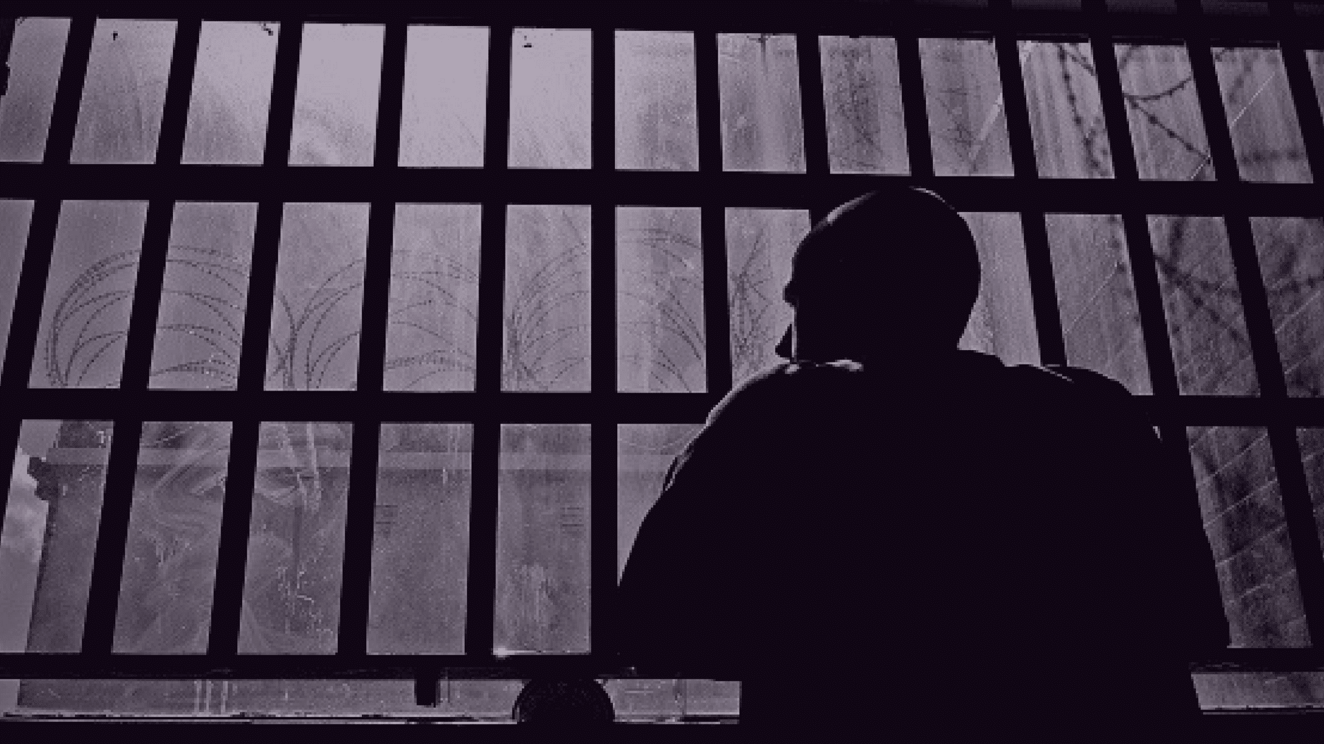 Press Release: Federal Government Appeals Historic Solitary Confinement ...