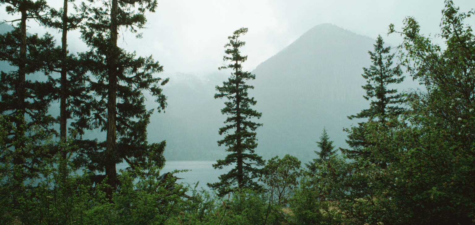 Indigenous Land Defense - BC Civil Liberties Association